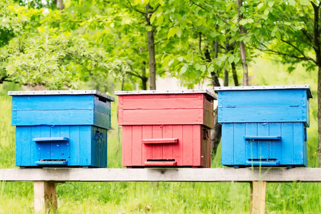 Beehive Painting Tips and Tricks | ODH