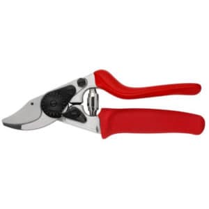 When to Use ByPass or Anvil Pruners – A Pruning Tools Guide | ODH